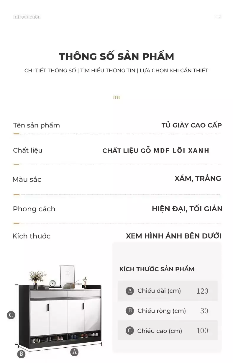 Tủ Giày Phong Cách Hiện Đại Haigo TG136